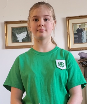 Ward & Mountrail County hold virtual 4-H Communication Arts Contest ...